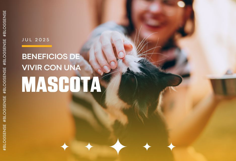 Beneficios de vivir con una mascota - Dibaq Sense Chile